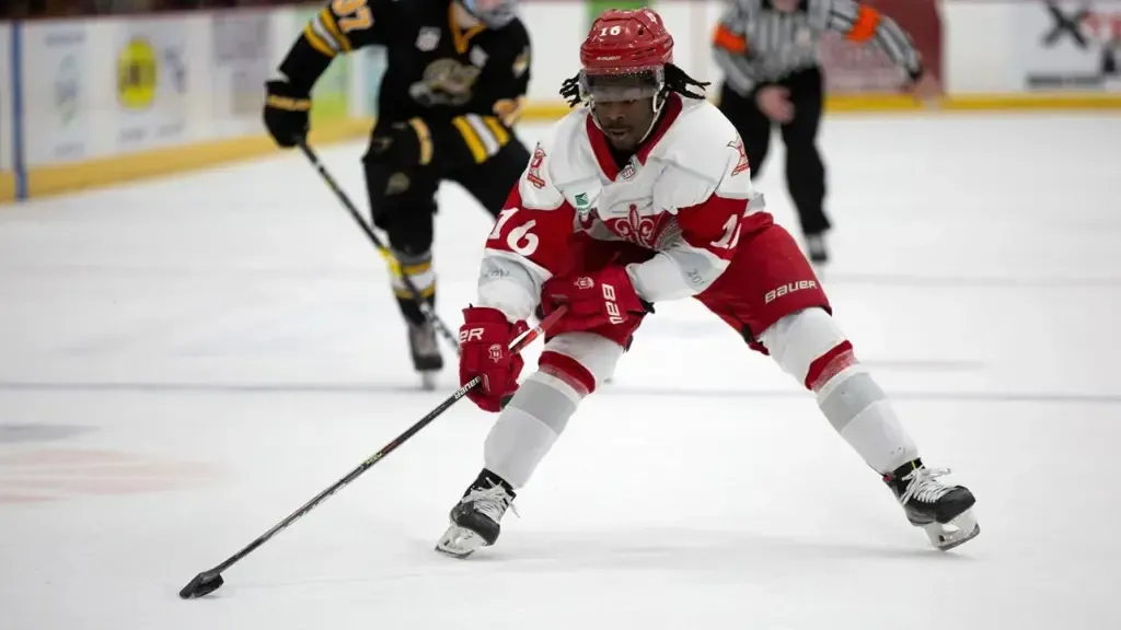 Professional hockey player suspended indefinitely for alleged ...