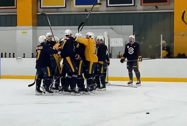 Nashville Predators players fight each other during practice as team ...