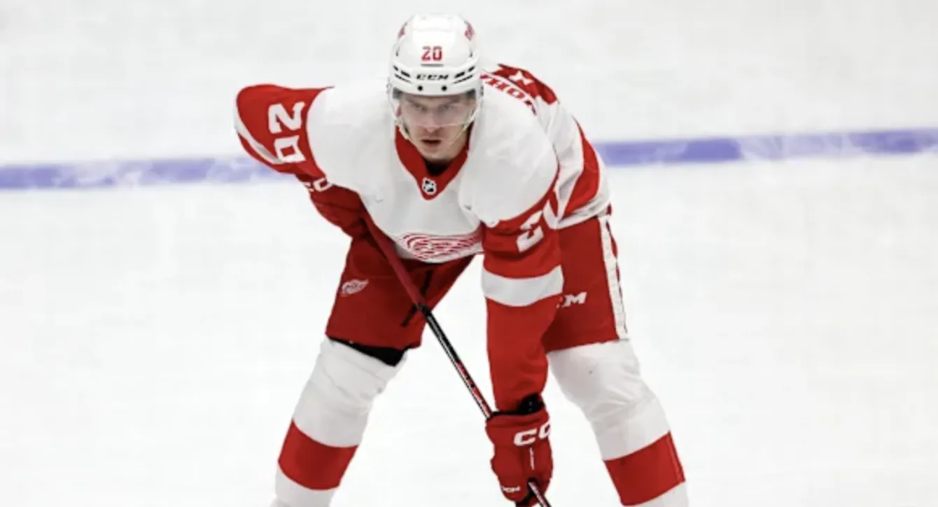 Red Wings rookie D Albert Johansson perfectly neutralizes Connor McDavid