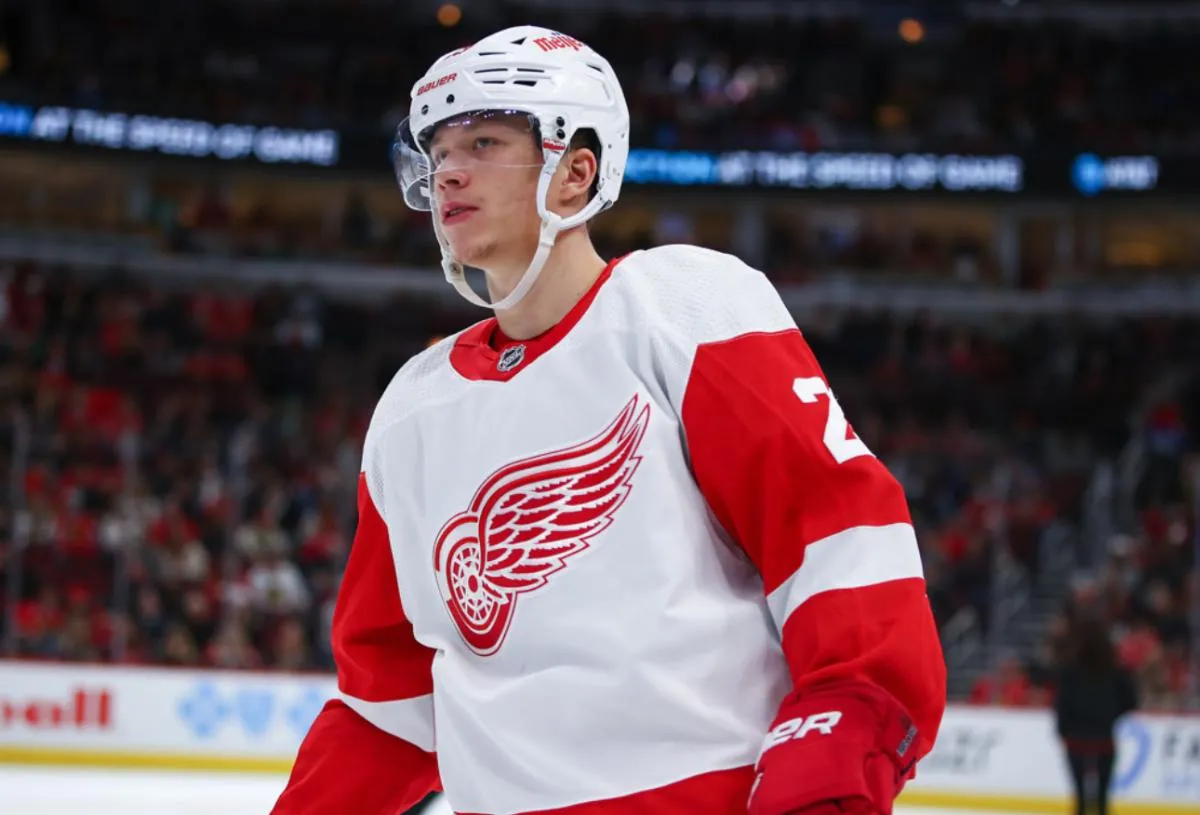 Ex-NHL player accuses Lucas Raymond of theatrics